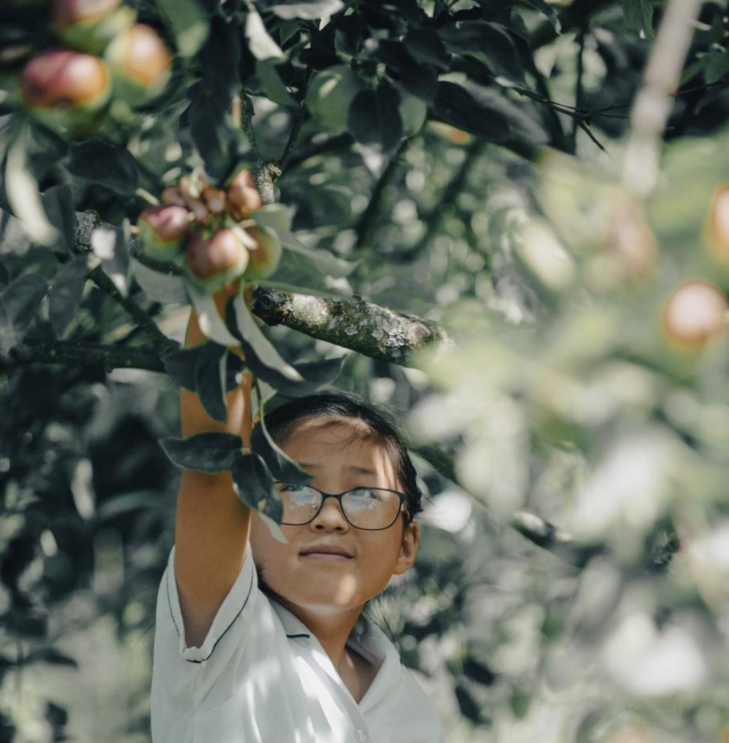 Dumpton School | Dumpton School